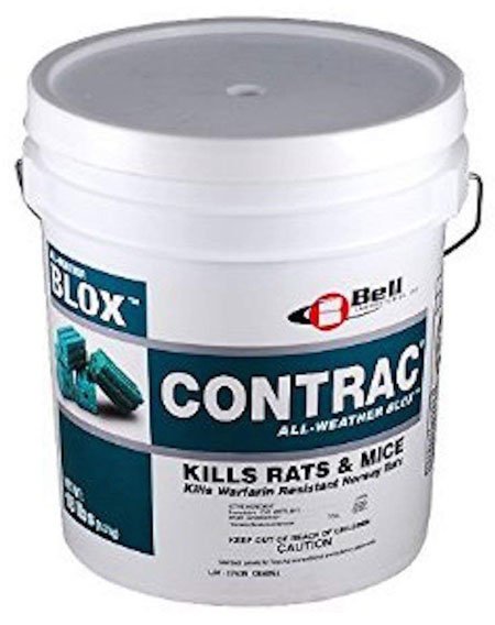 10 Best Rat Poisons That Works | Review - September - 2021