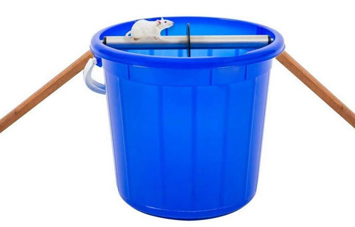 Odesos Bucket Mouse Trap Review | Live Catch & Release Bucket Trap