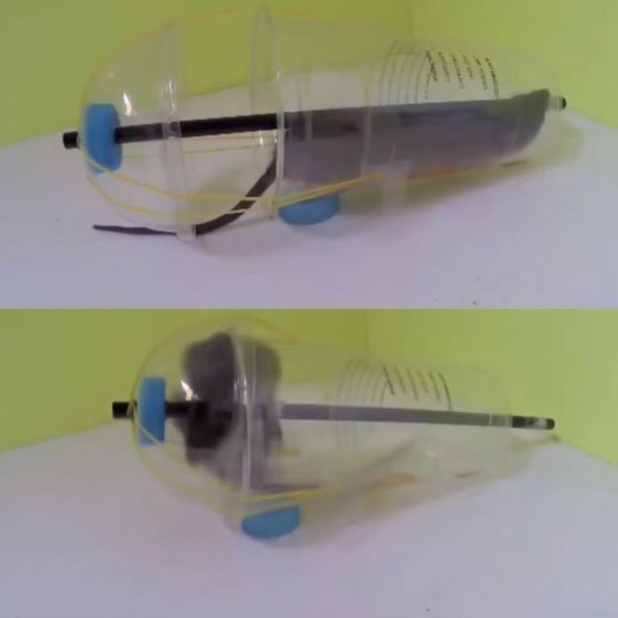 How To Make Best Homemade DIY Mouse Trap To Catch And Kill Mice