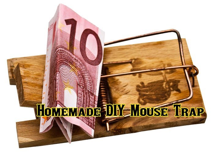 How To Make Best Homemade DIY Mouse Trap To Catch And Kill Mice