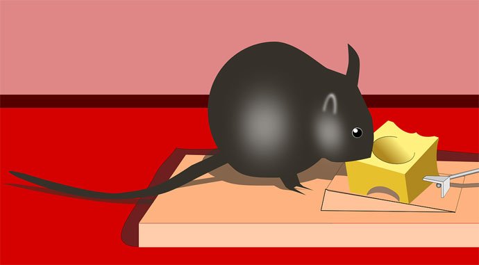 How To Get Rid Of Mice Fast | Proven Tips To Apply In 2021