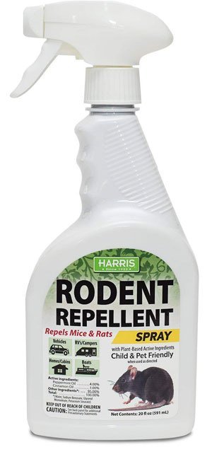 Eco Defense Mouse Repellent Spray Review | Best Rat Repeller