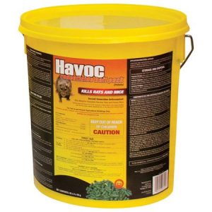 10 Best Rat Poisons That Works | Review - 2024