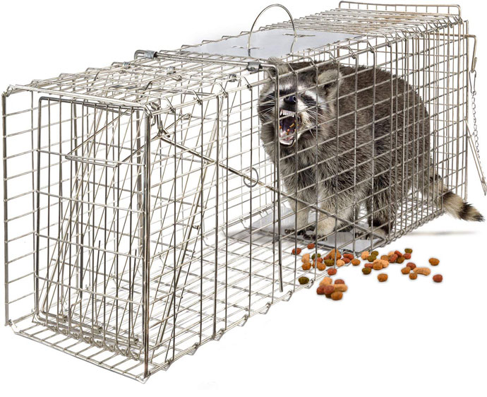 OxGord Live Animal Trap Review | Humane Way To Kill Critters