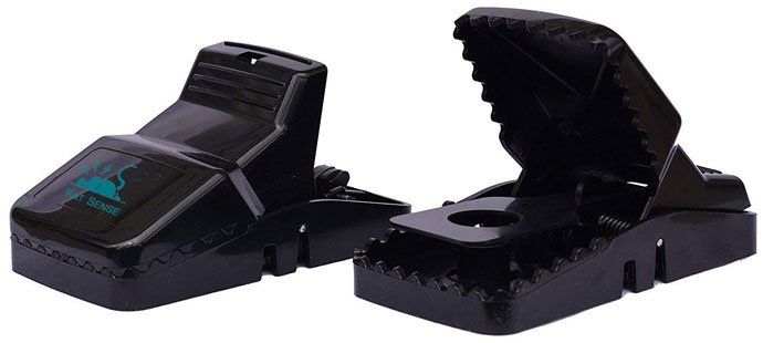 8 Best Rat Traps Reviews With Pros & Cons (September - 2021)