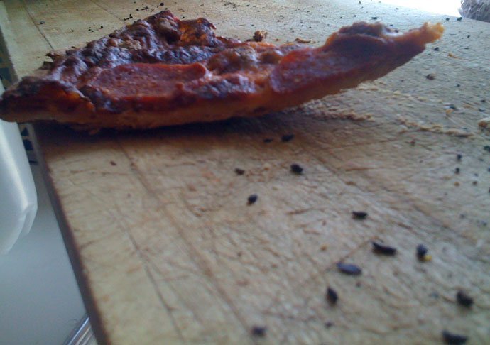 Rat Poop Vs Mouse Poop | Differences You Should Know